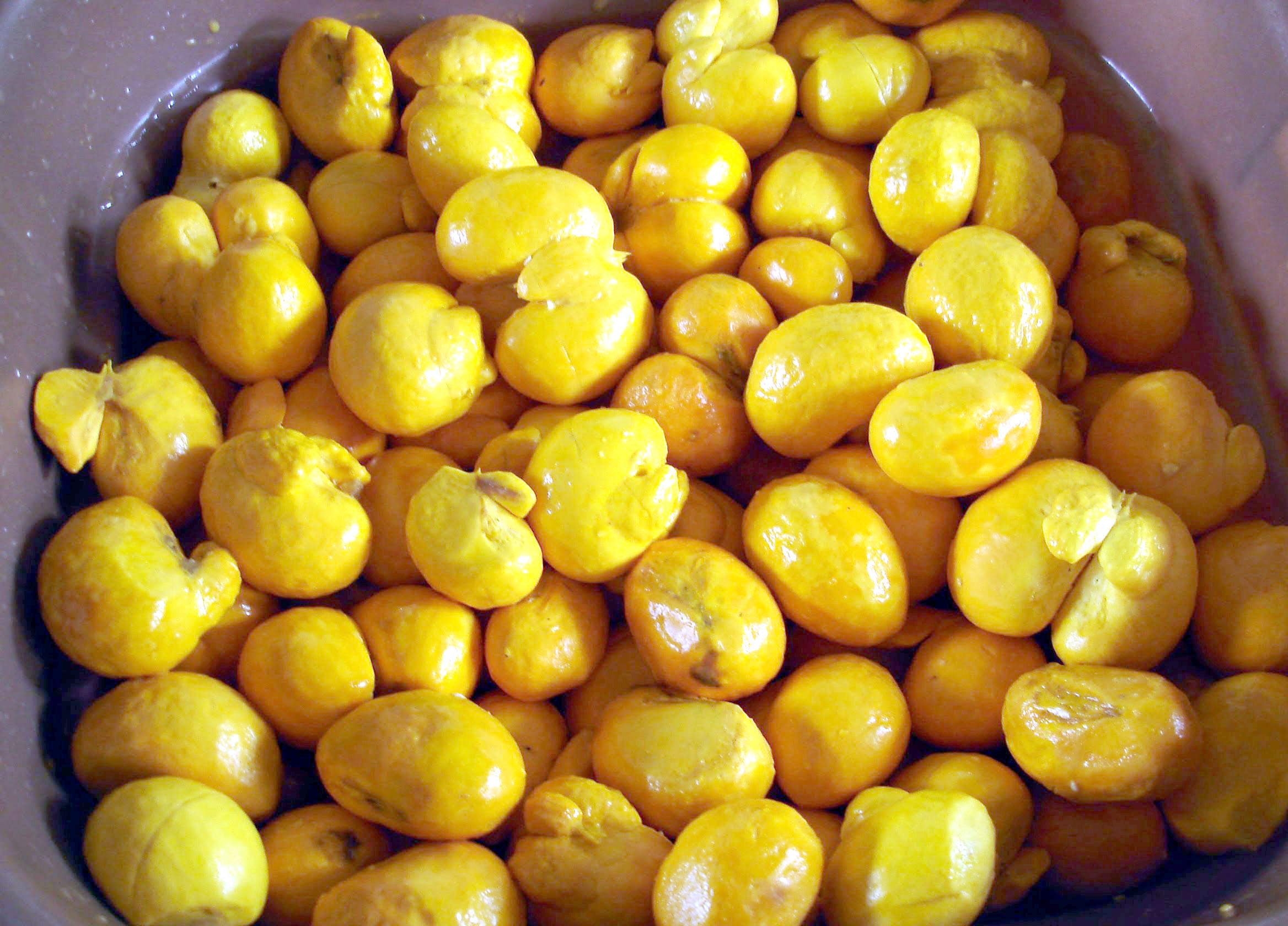 Pequi em cápsula promete combater envelhecimento e inflamações - O VETOR